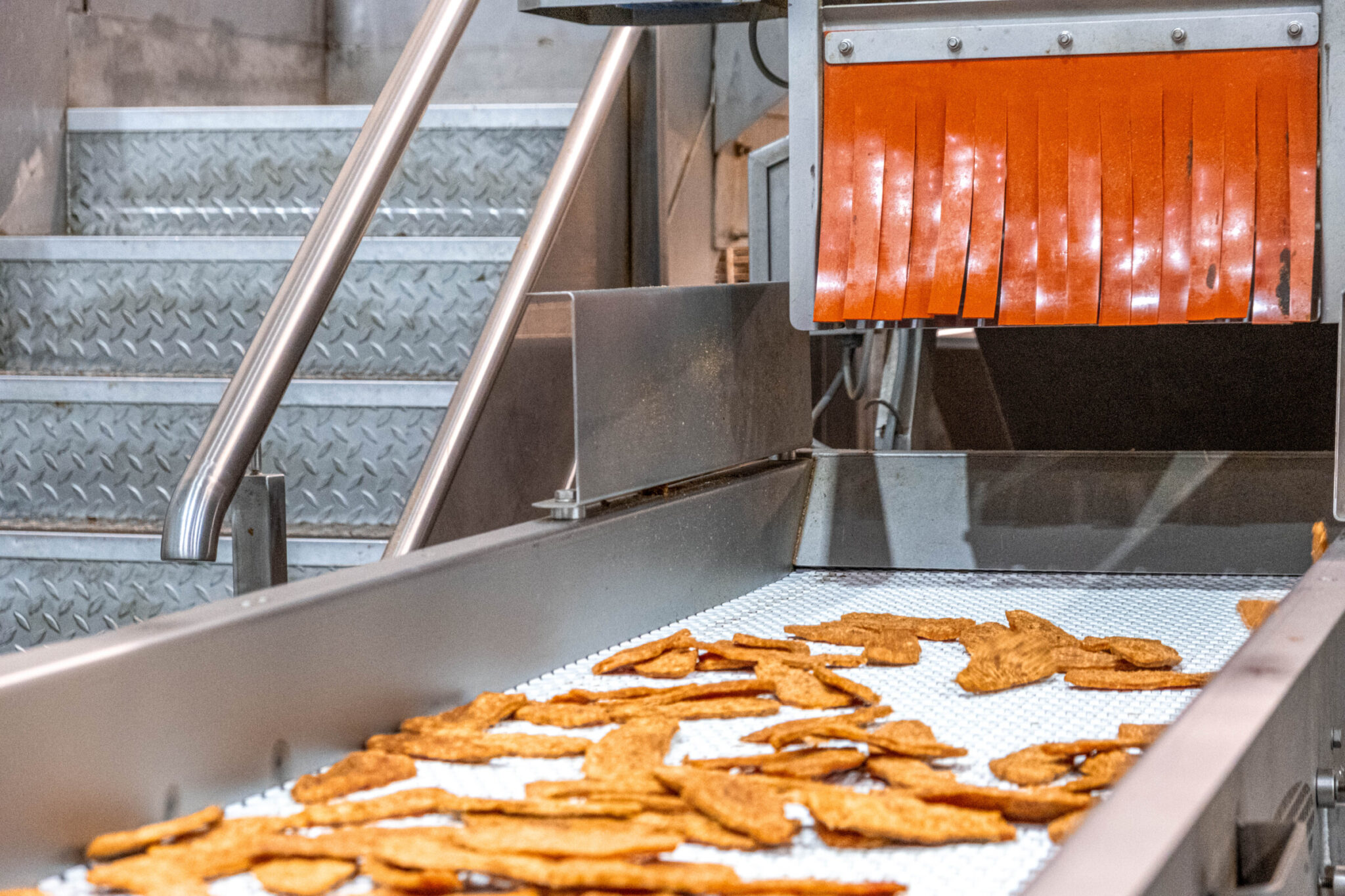 About Us – Irish Dog foods